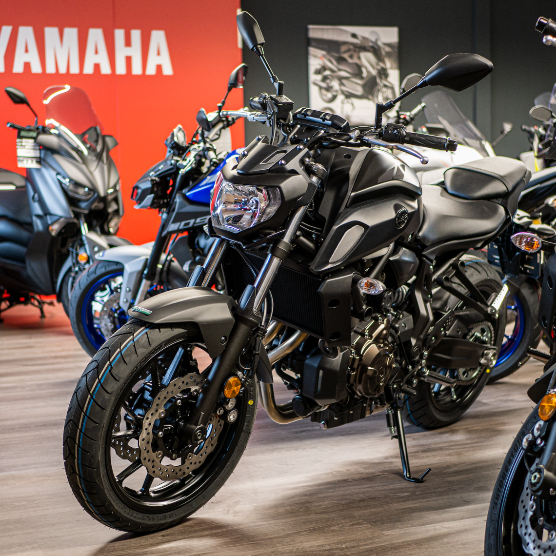 Motorcity Amsterdam slaat vleugels uit